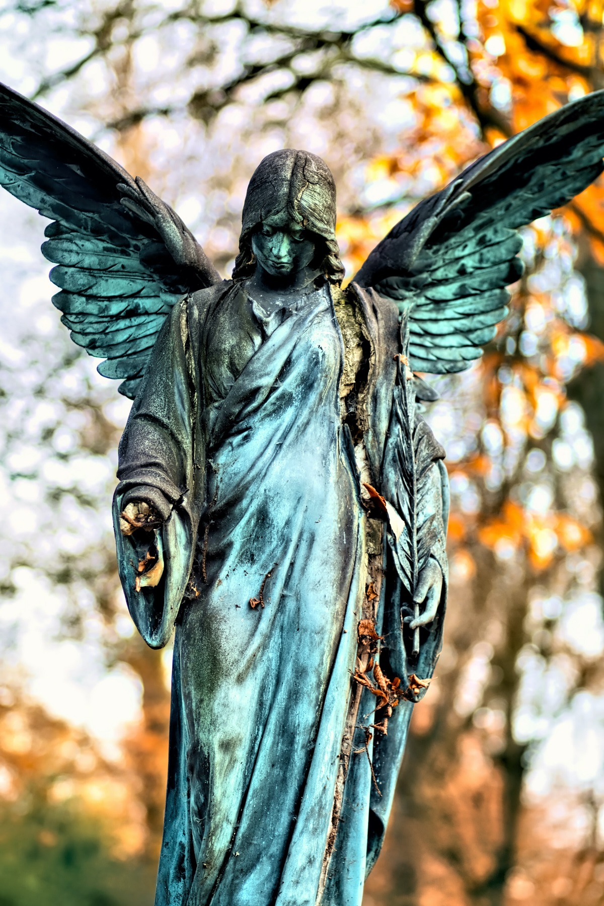 Windy City Guardian Angel - A first-hand story… - The Healing Power of ...